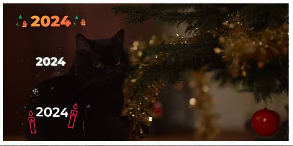 2024 Widgets - vPlus